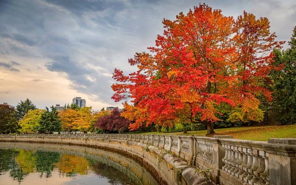 Vancouver in Fall: What to Do + 2025 Autumn Activities - Vancouver Planner