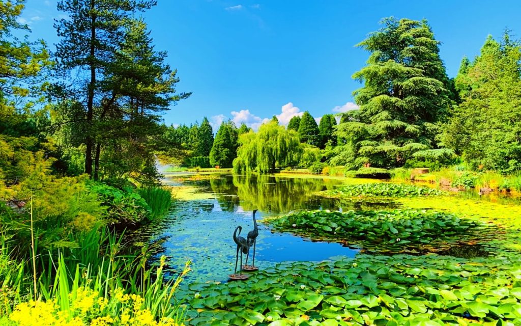 A VanDusen Garden Guide + Skip the Line Tickets - Vancouver Planner