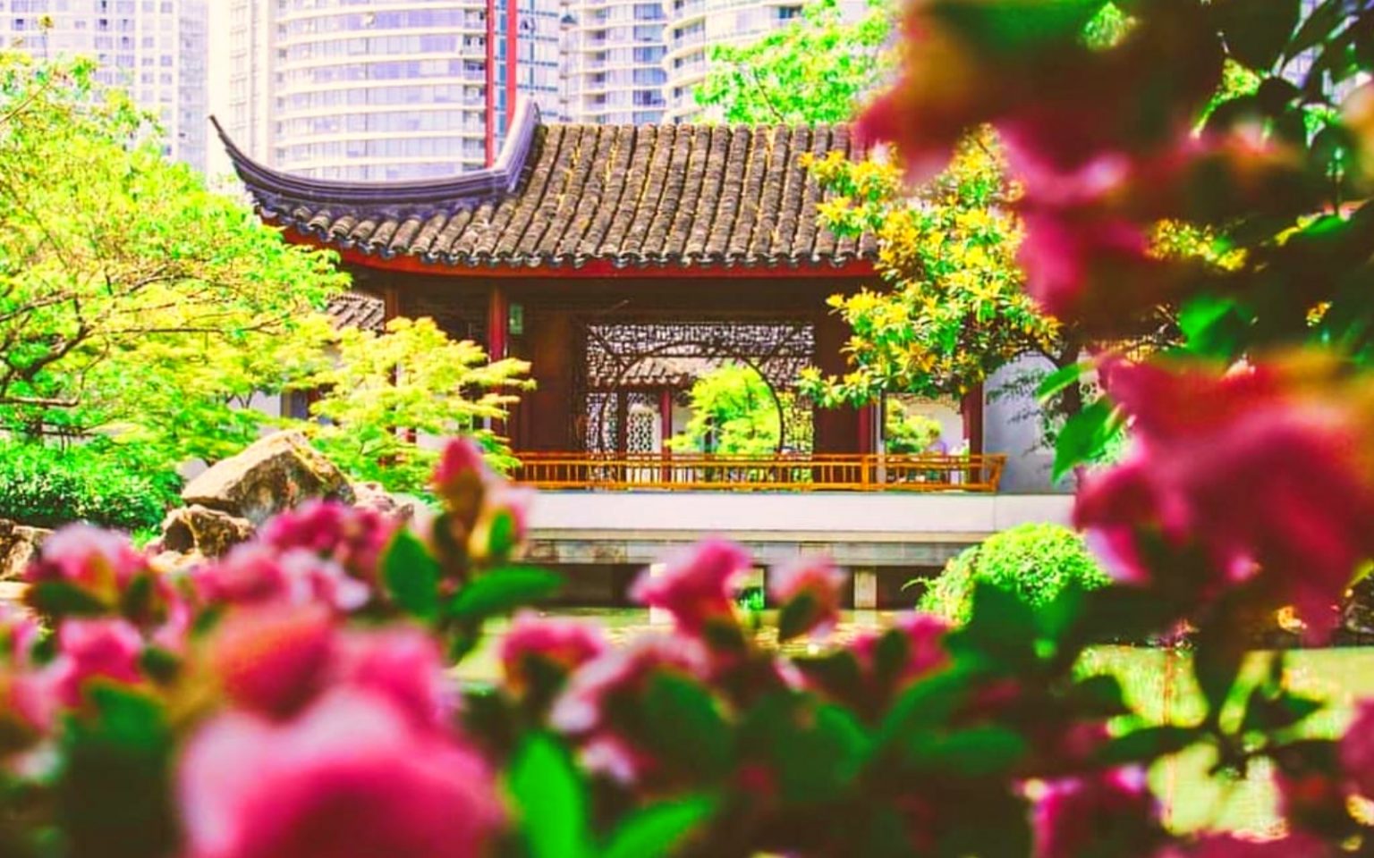 Dr. Sun Yat-Sen Classical Chinese Garden: An Urban Oasis - Vancouver ...