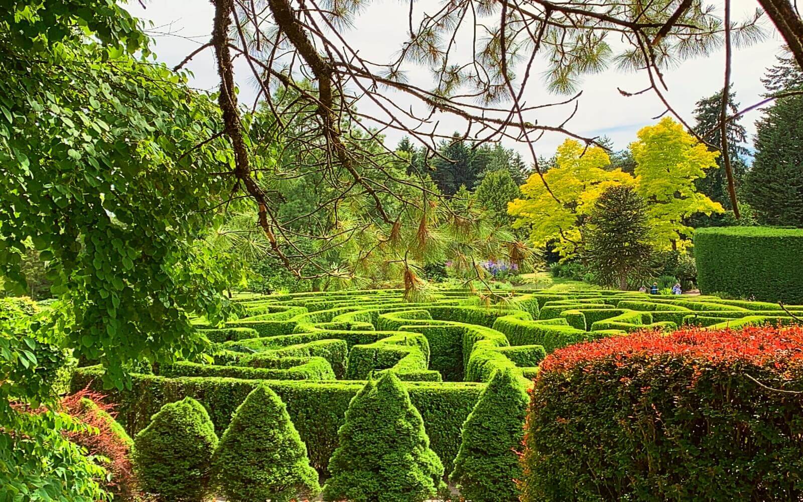 Vancouver Botanical Gardens | Fasci Garden