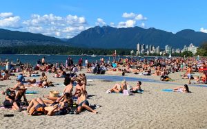 Things to Do in Kitsilano Vancouver + Neighbourhood Guide - Vancouver Planner