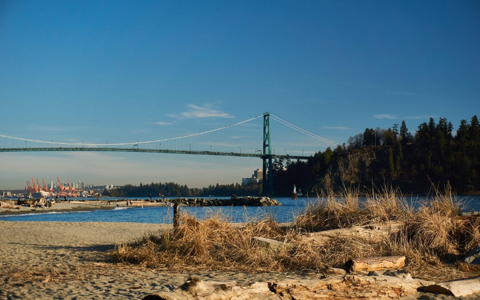 12 Best Beaches in Vancouver BC (+ Cleanliness Ranks) - Vancouver Planner