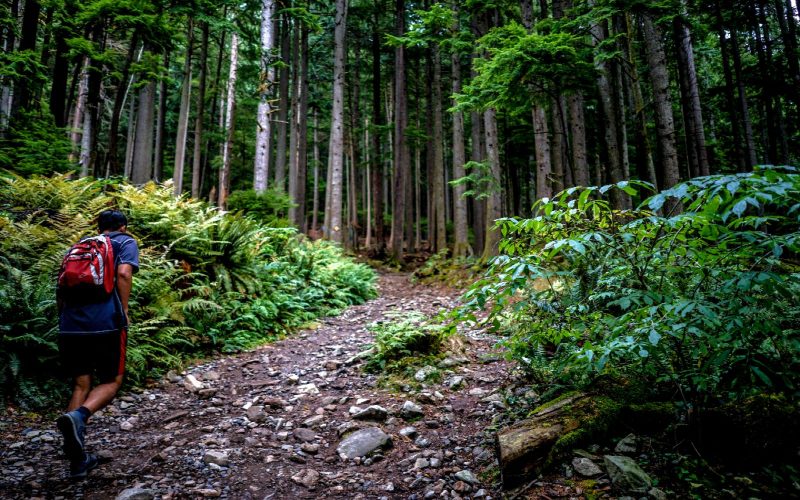 Grouse Grind: Nature's Stairmaster in Vancouver - Vancouver Planner