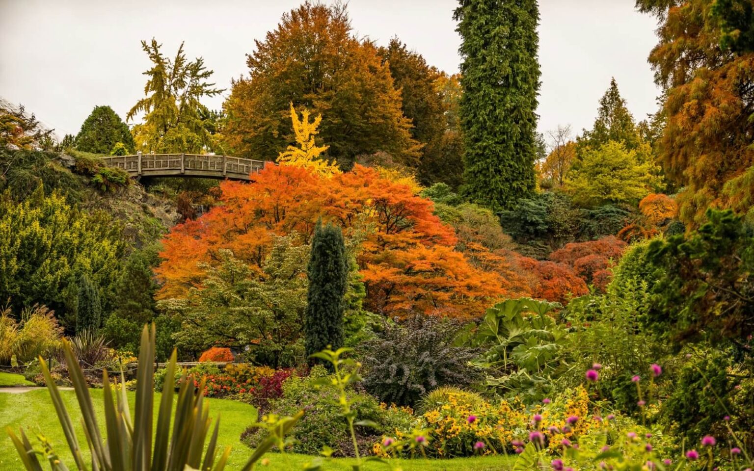 The Best Parks in Vancouver: Where Nature Meets Urban Taste