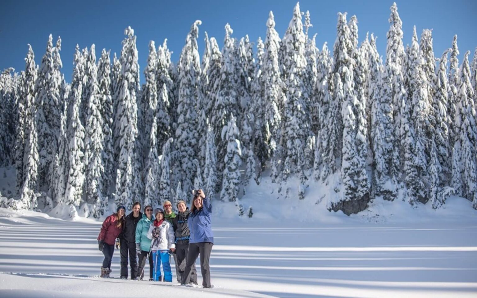 Vancouver in January: Events, Festivals & Things to Do - Vancouver Planner