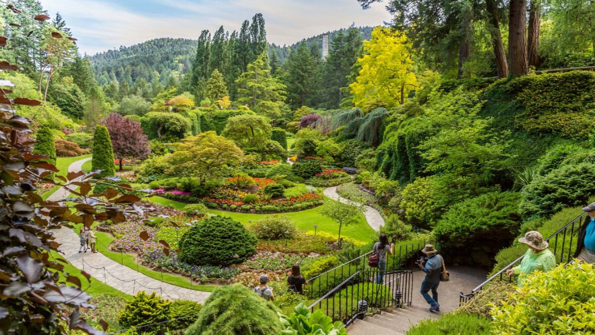 The Best Parks in Vancouver: Where Nature Meets Urban Taste