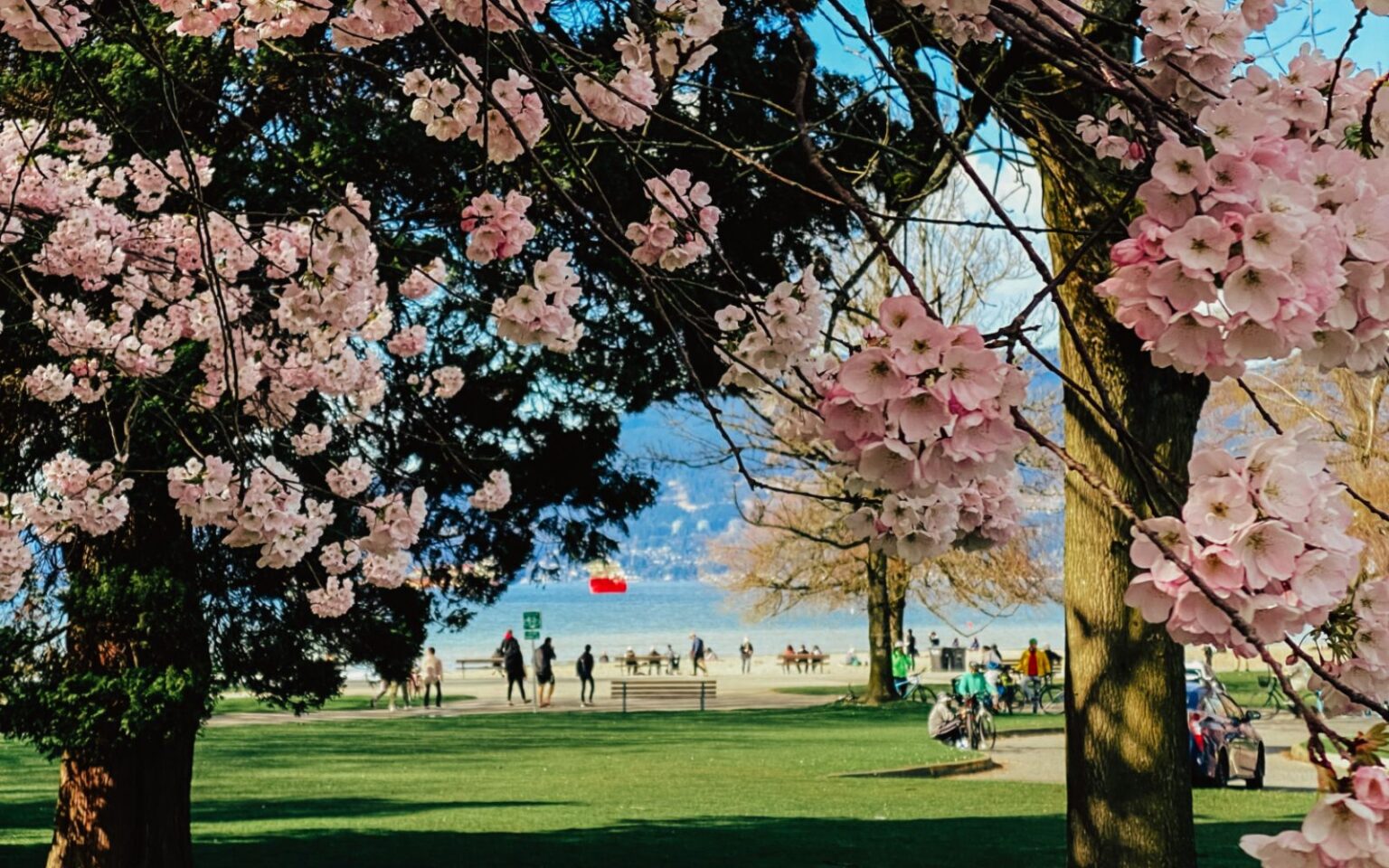 What to Do in Vancouver in Spring 2026: Top Events + Festivals ☀️