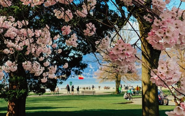 What to Do in Vancouver in Spring 2026: Top Events + Festivals ☀️