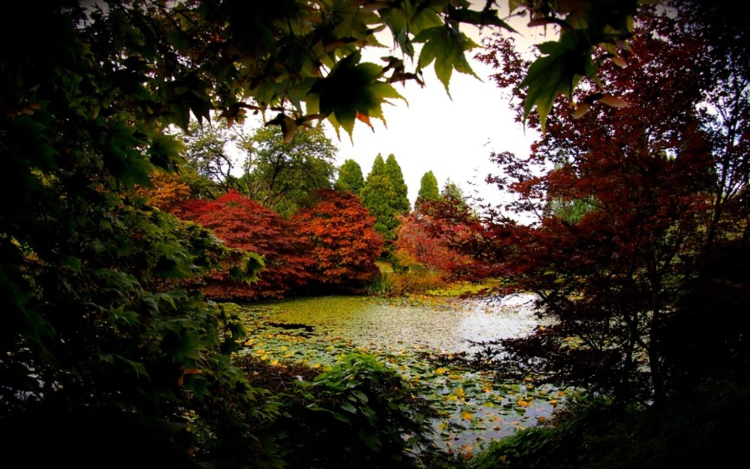 Vancouver in October: Events, Festivals & Best Things to Do