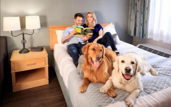 6 Best Pet Friendly Hotels in Victoria BC from $99.00 - Vancouver Planner