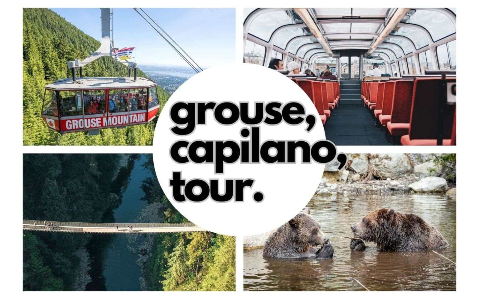 Things to Do at Grouse Mountain in Summer: Activities 2025