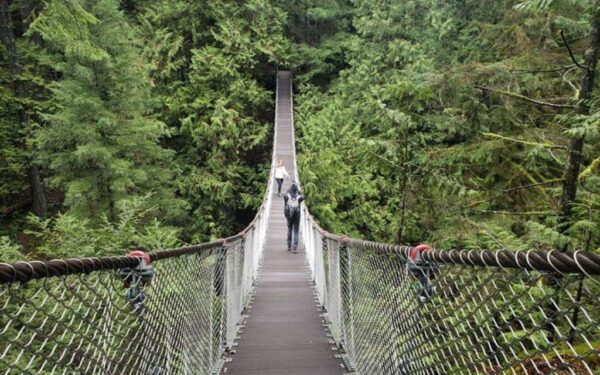 16 Unique Things to Do in Vancouver + Hidden Gems - Vancouver Planner