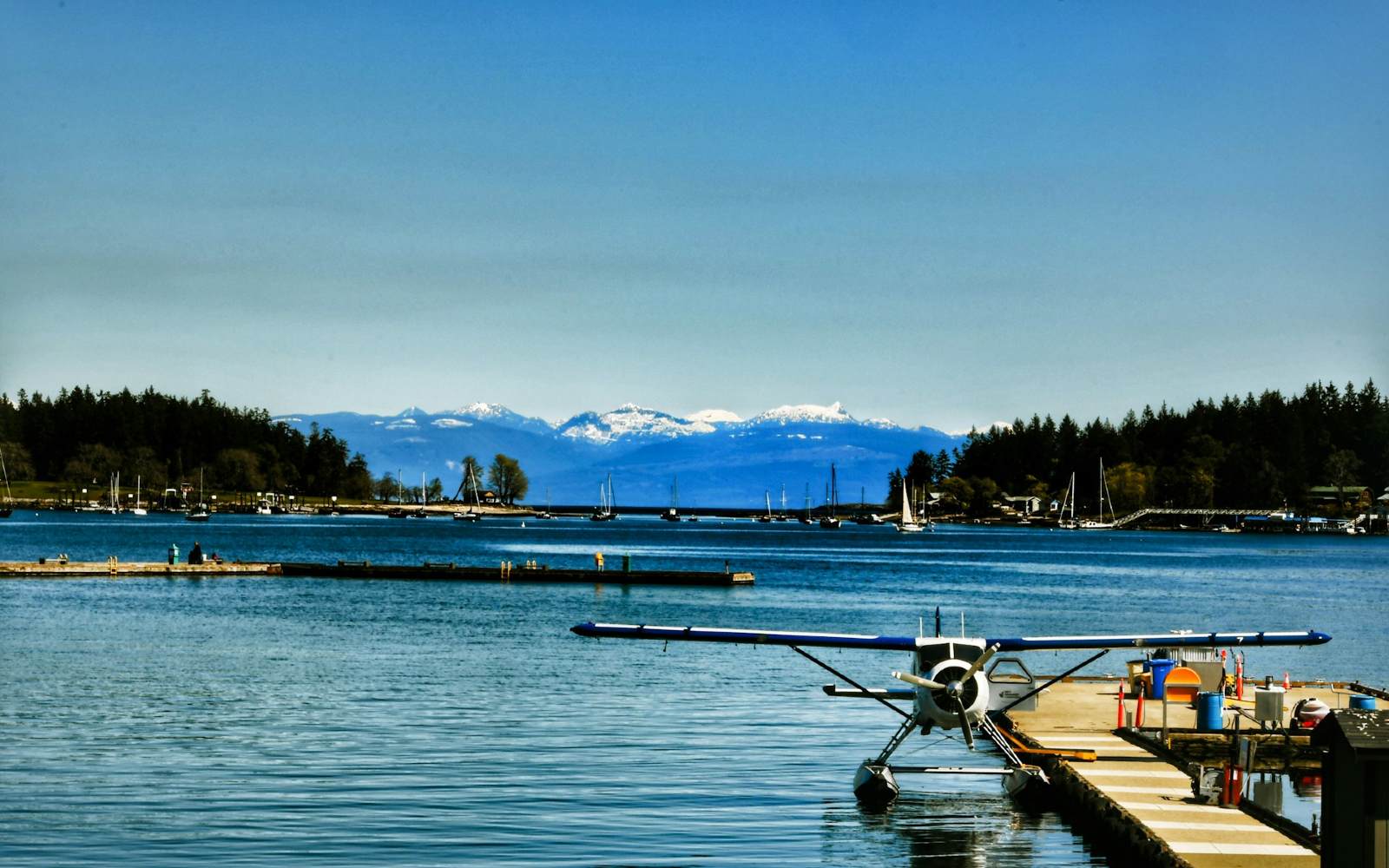 Vancouver to Victoria Seaplane: What to Expect + 2025 Times ️