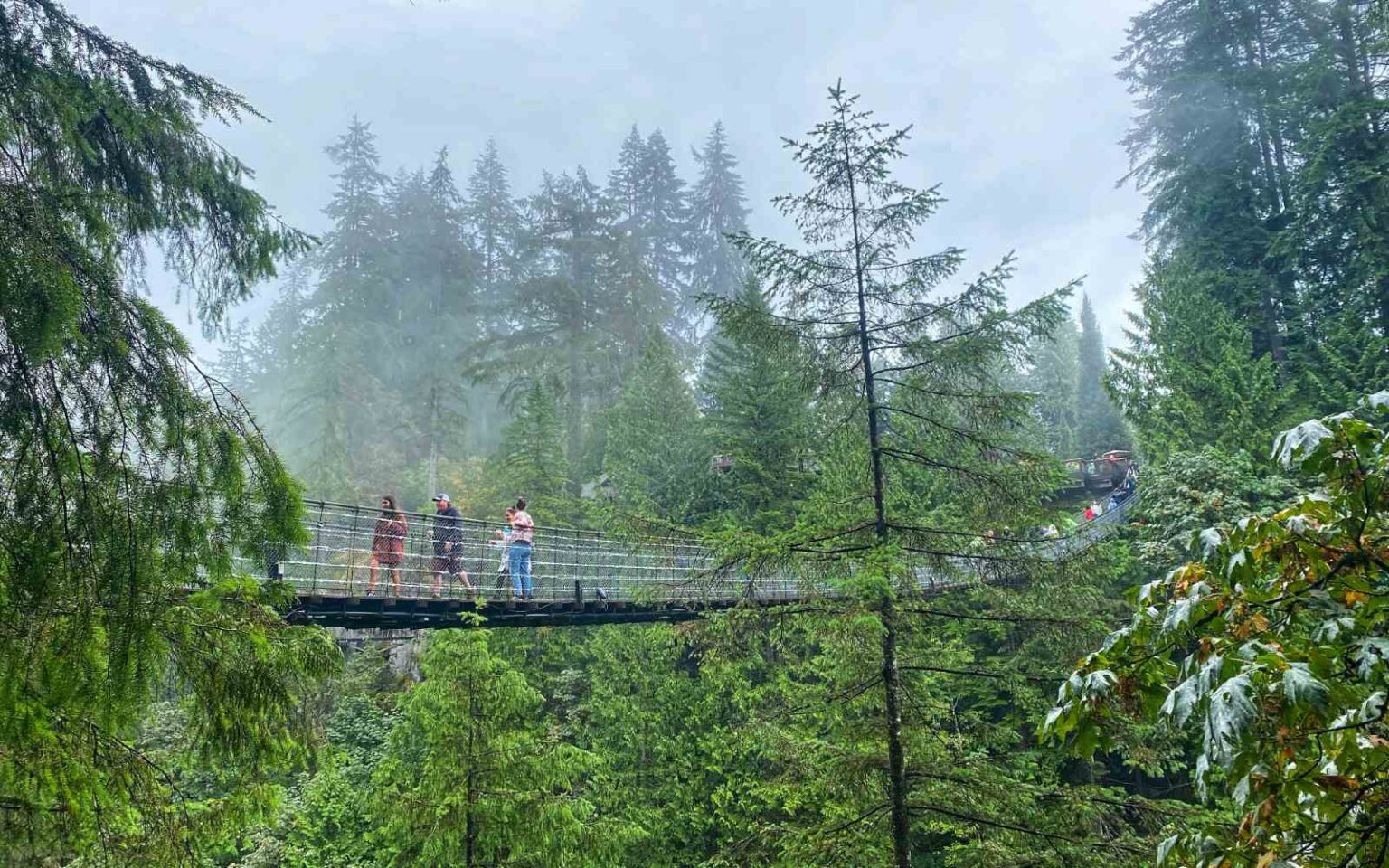 Top Grouse Mountain & Capilano Suspension Bridge Tours 2025 - Vancouver ...