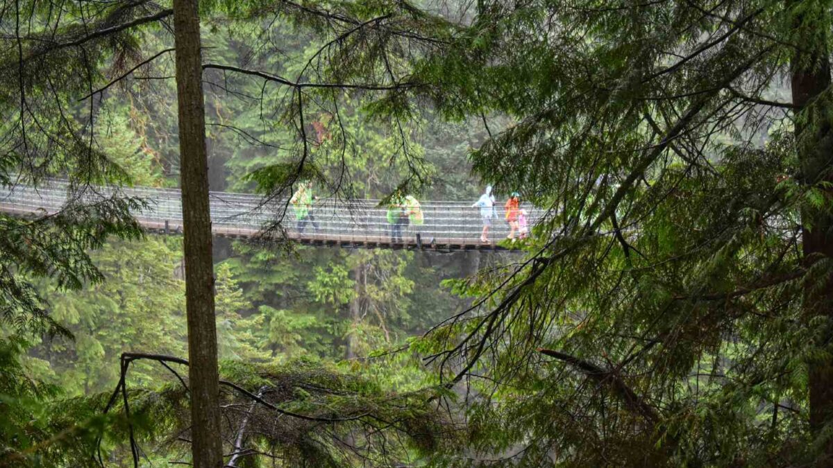 How to Get to Capilano Suspension Bridge (+ Free Shuttle 2024)