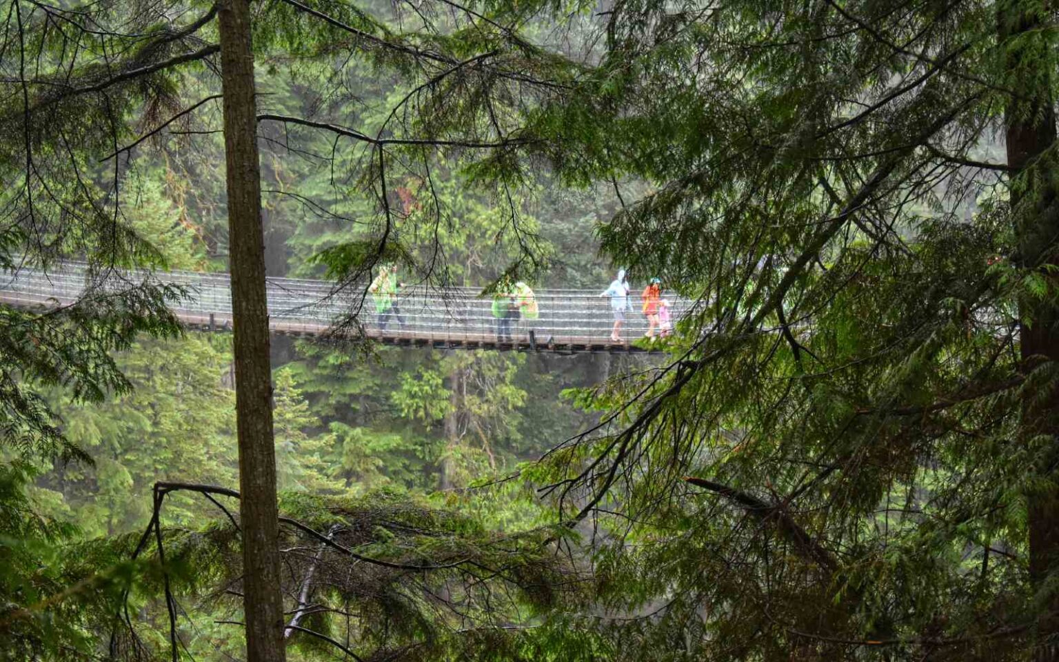 Top Grouse Mountain & Capilano Suspension Bridge Tours 2025 - Vancouver ...