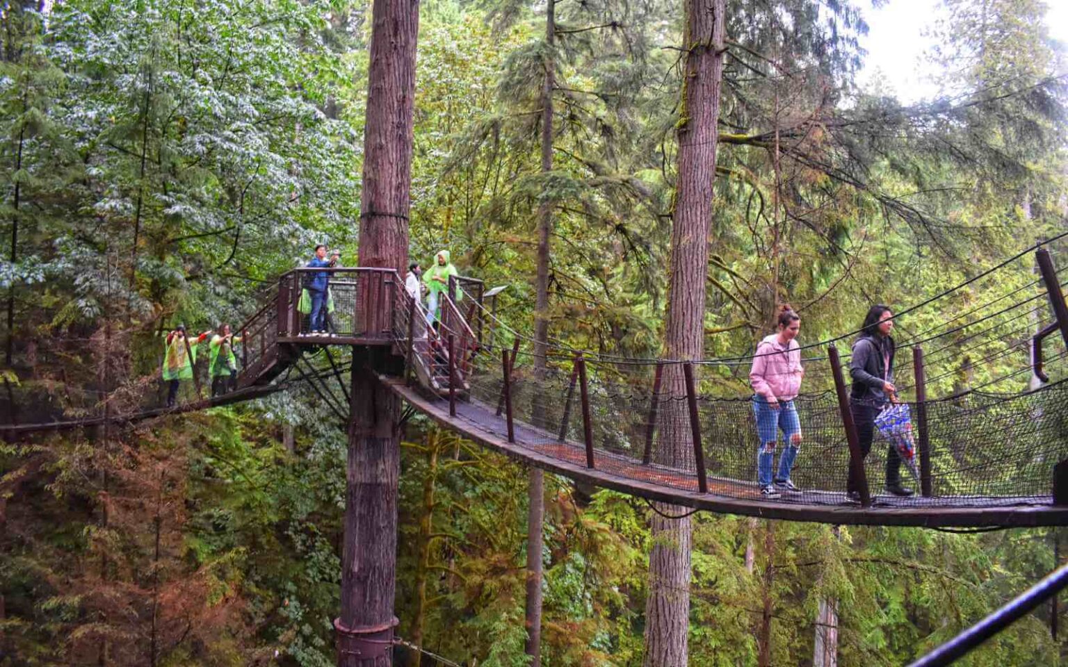 Capilano Suspension Bridge Park Visit Guide (2026) - Vancouver Planner