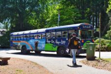 Vancouver Hop On Hop Off Bus Guide ⭐ New Times + 2025 Routes