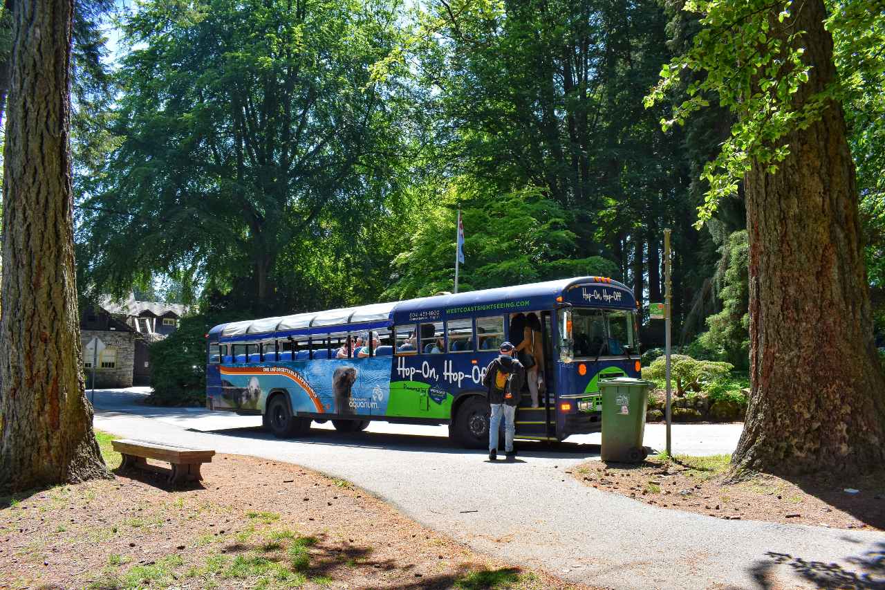 Vancouver Hop On Hop Off Bus Guide ⭐ New Times + 2025 Routes