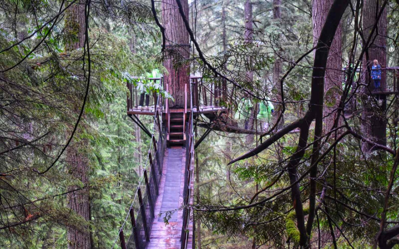 Treetops Adventure at Capilano Suspension Bridge - Vancouver Planner