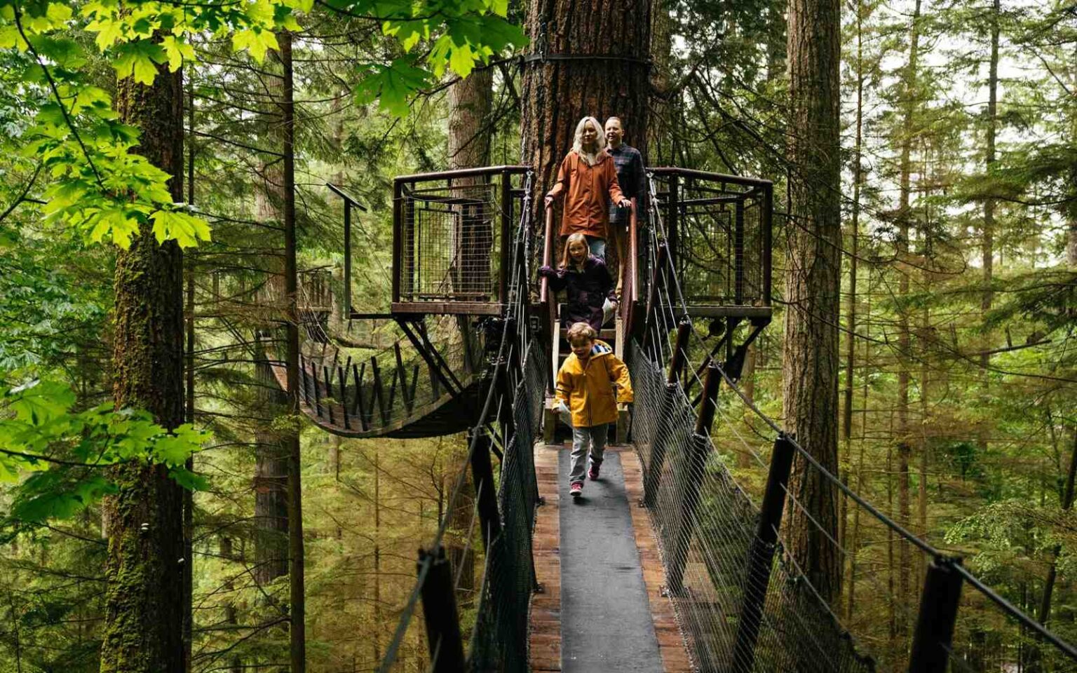 Top Grouse Mountain & Capilano Suspension Bridge Tours 2025 - Vancouver ...