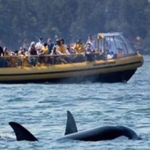 Wreck Beach Vancouver: What to Do + Visit Tips - Vancouver Planner