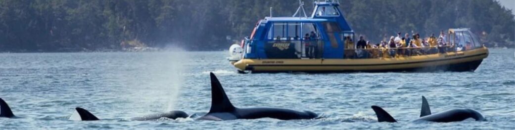 Wreck Beach Vancouver: What to Do + Visit Tips - Vancouver Planner