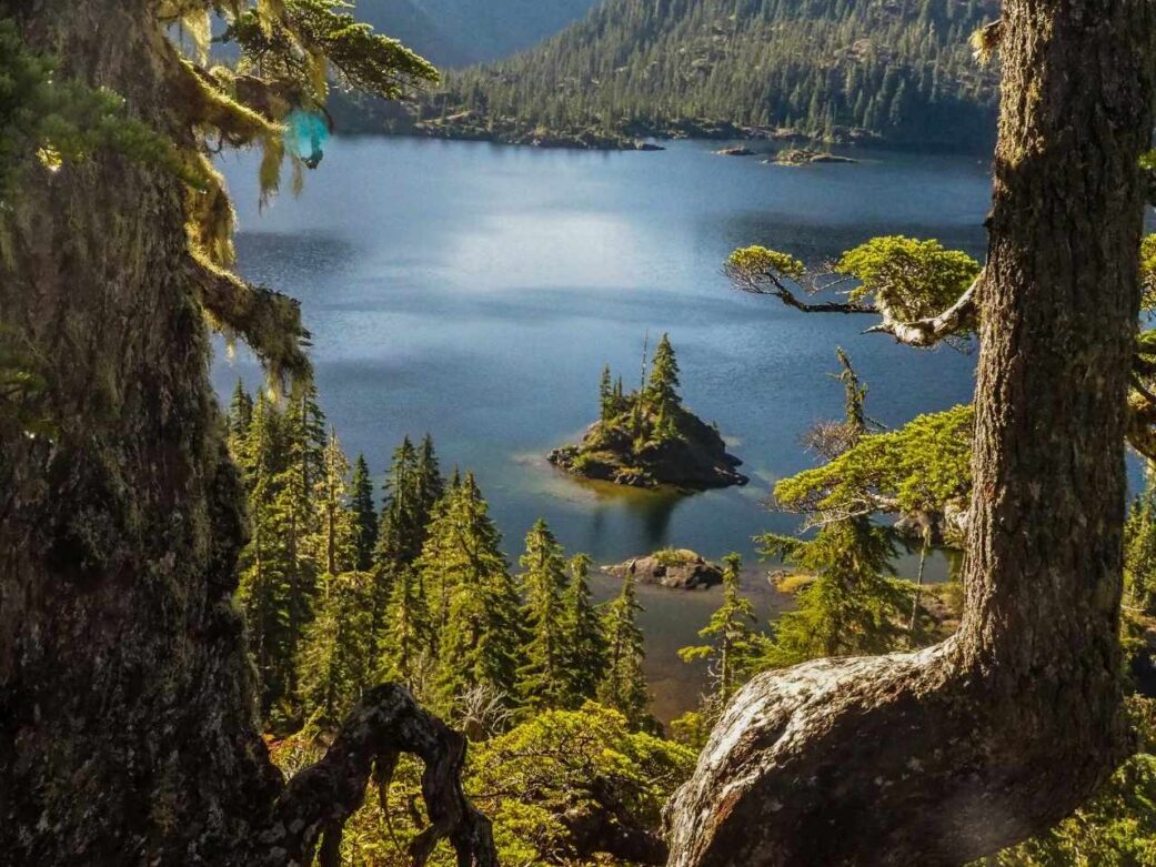 Victoria Inner Harbour: What to See & Do in BC’s Most Scenic Waterfront ...